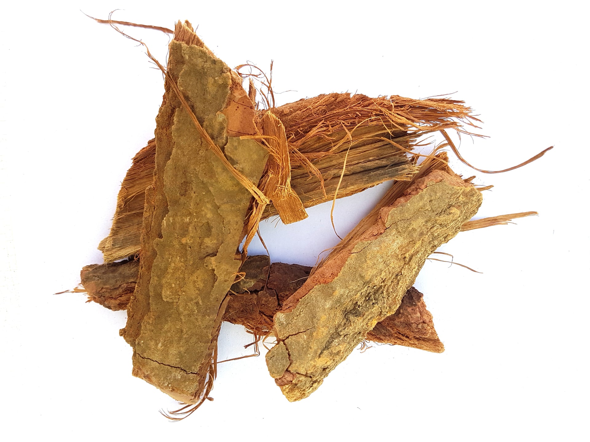 Ashok Chaal | Saraca Indica 1Kg – SriSatymev