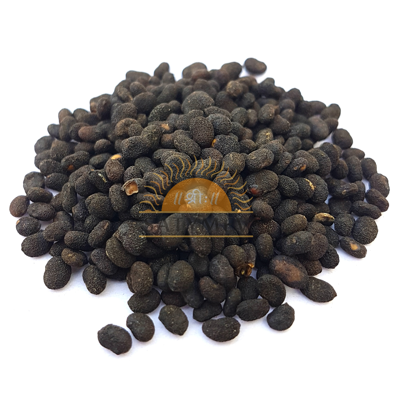 SriSatymev Babchi | Bapchi