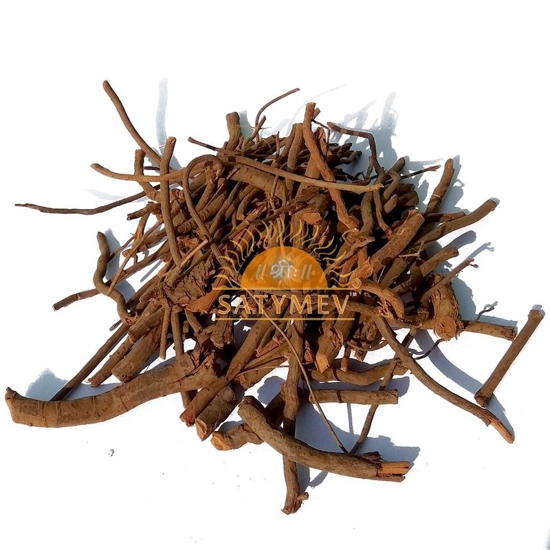 SriSatymev Chitrak Mool | Plumbago Zeylanica | Chitrak Roots | Chita