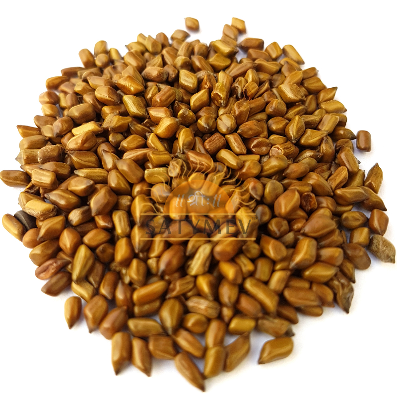 SriSatymev Panwad | Puwar | Cassia tora | Chakramarda | Sickle Senna